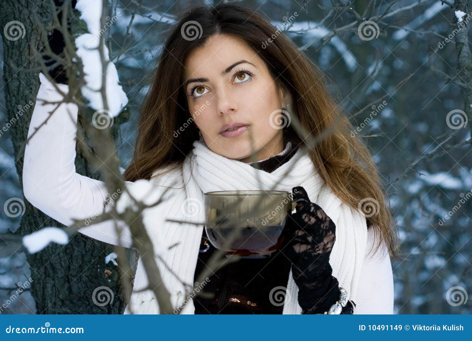Beautiful Woman in the Forest Stock Image - Image of december, adult ...