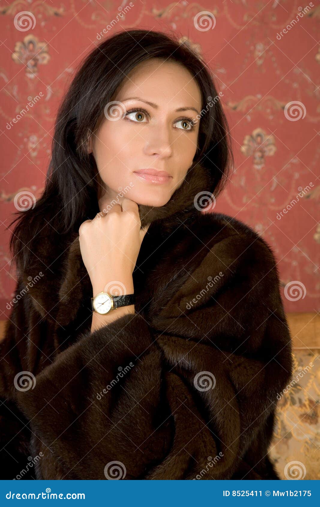 Beautiful woman in fur stock image. Image of model, modern - 8525411
