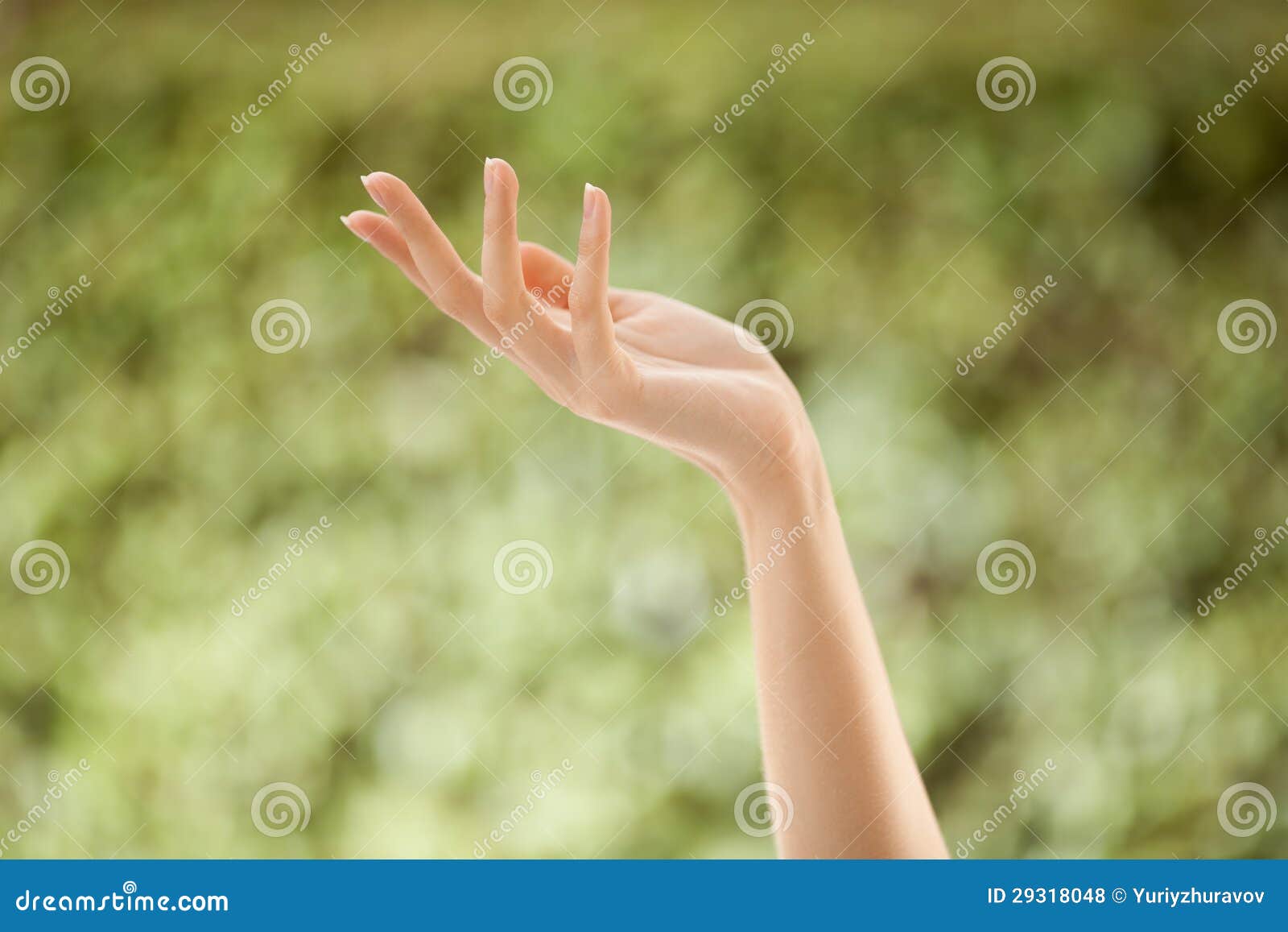 Beautiful Woman Hand stock photo. Image of nail, gesturing - 29318048