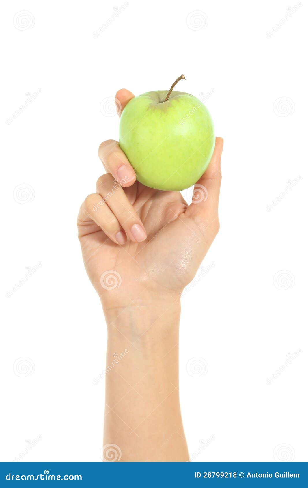 Beautiful Woman Hand Holding an Apple Stock Photo - Image of female ...