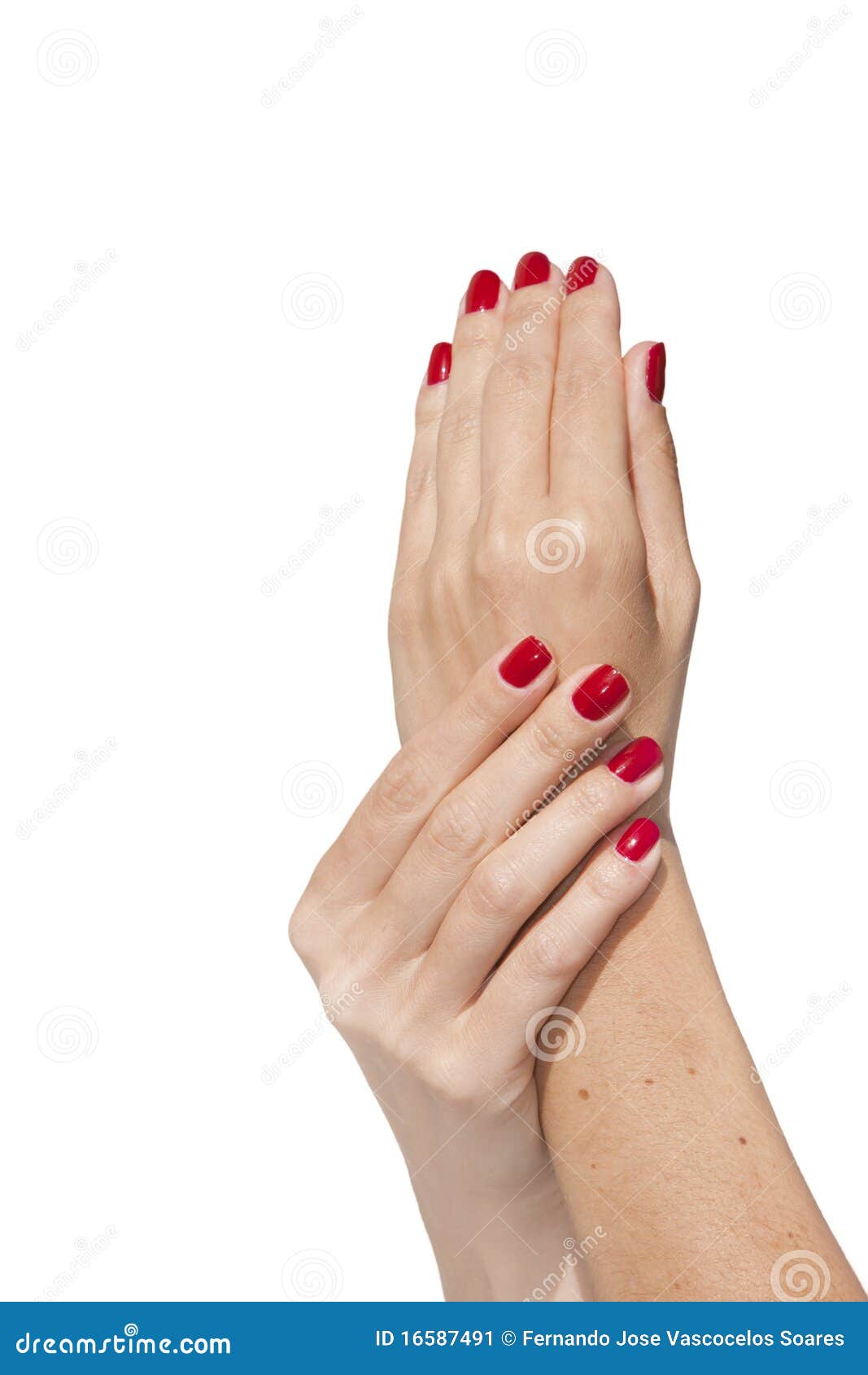 Beautiful woman hands stock image. Image of glamour, beauty - 16587491