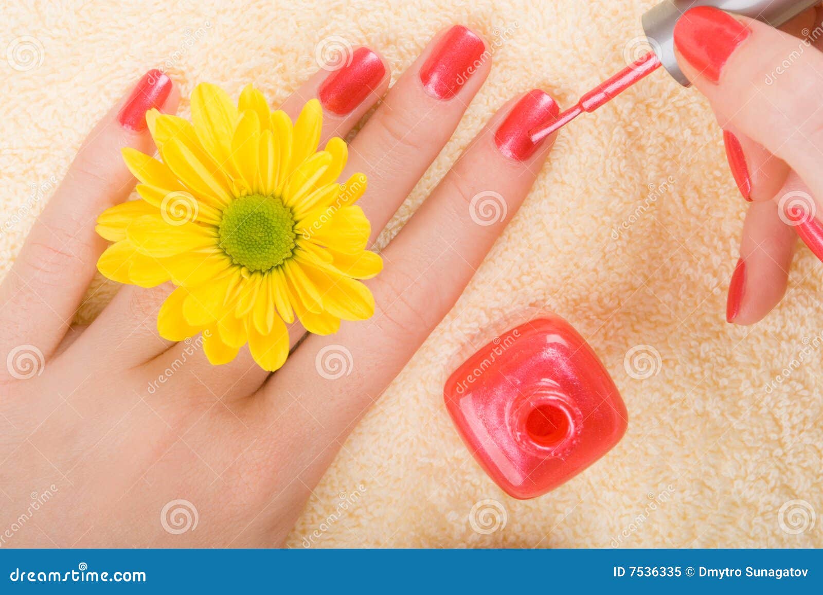 Beautiful woman hands stock image. Image of lifestyle - 7536335