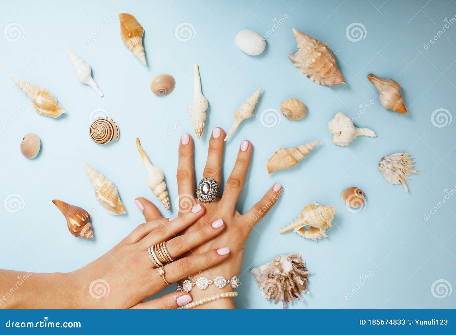 Beautiful Woman Hands With Pink Manicure Holding Sea Shells Lot Of