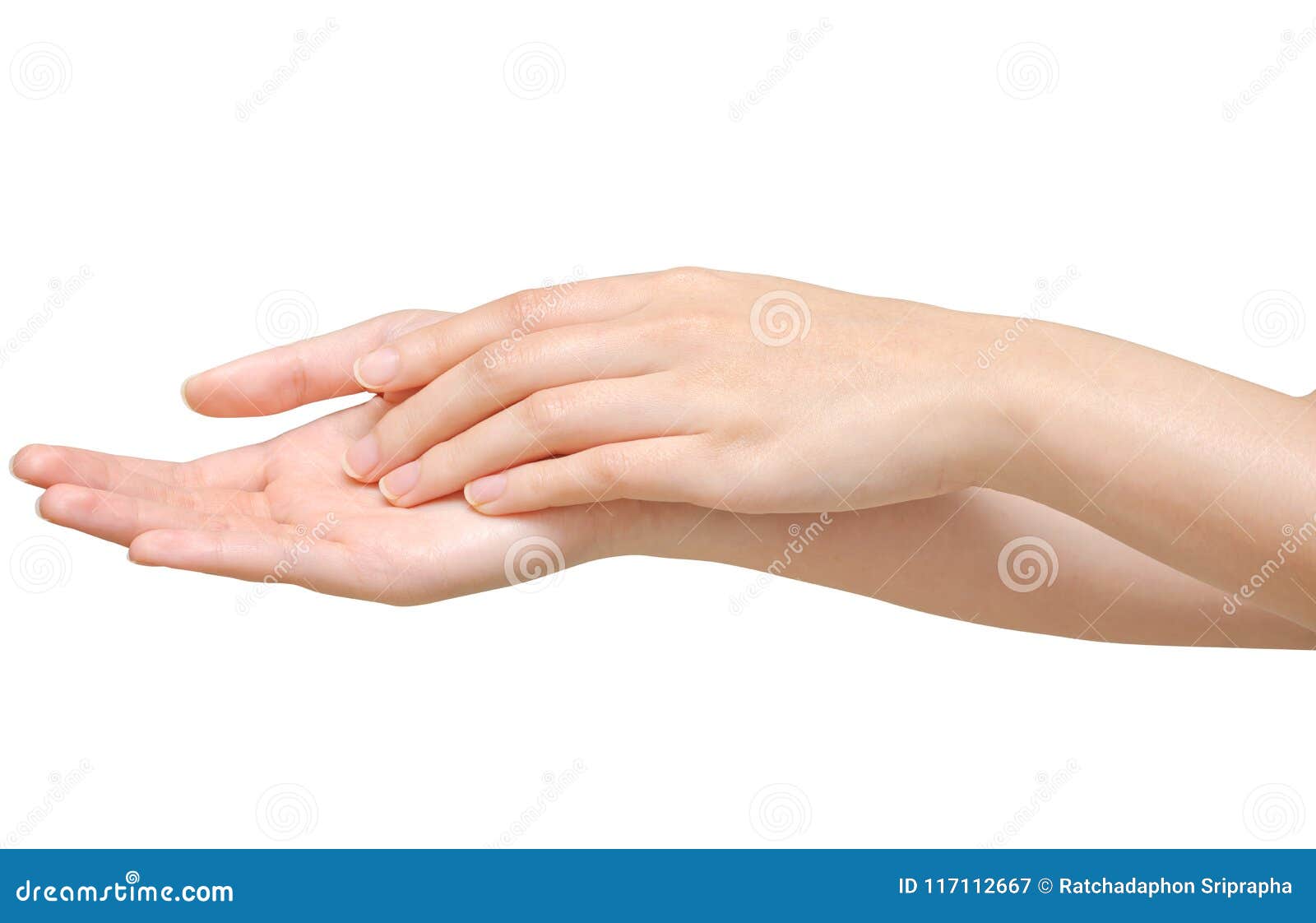 Beautiful Woman Hands on the White Background Stock Image - Image of ...