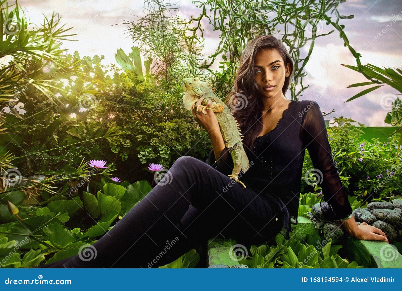 Sexy Iguana Stock Photos - Free & Royalty-Free Stock Photos from Dreamstime