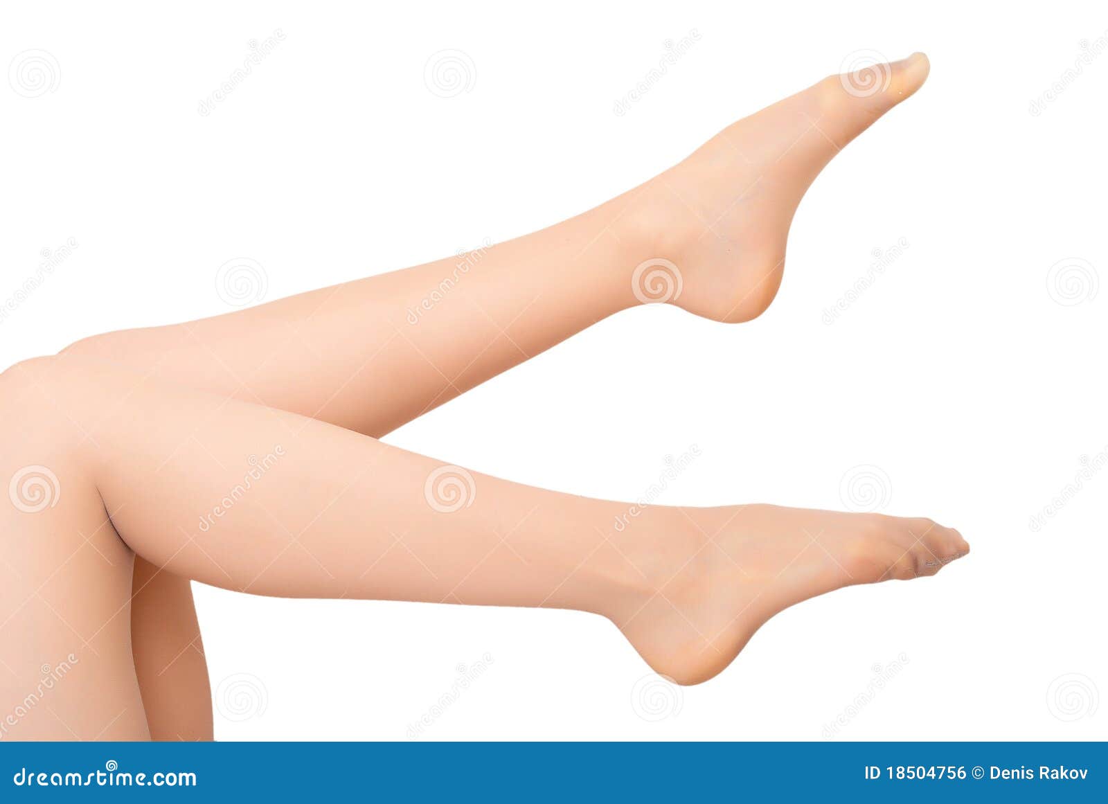 Beautiful woman legs stock photo. Image of excellent - 18504756