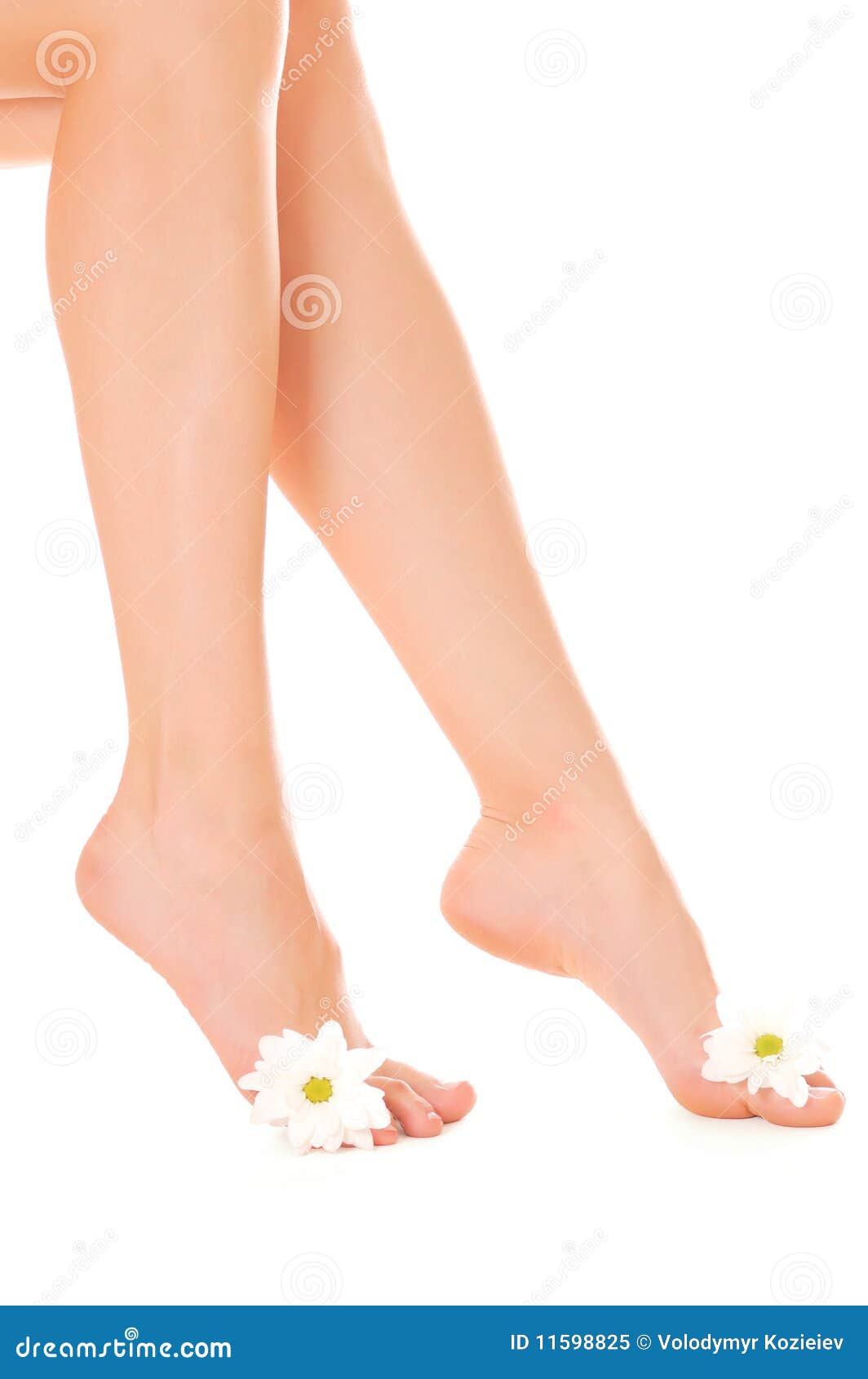 Beautiful Woman Legs with Flower Stock Image - Image of manicure ...