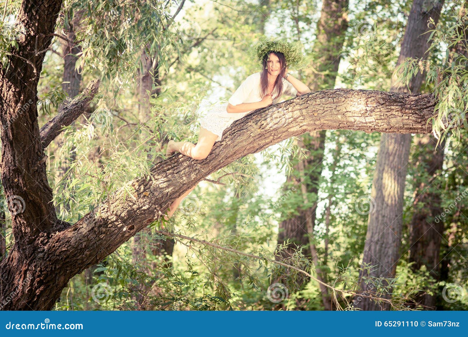 Beautiful Woman Lying on Tree in Forest Stock Photo - Image of high ...