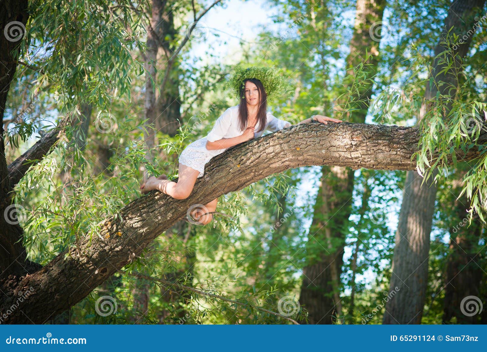 Beautiful Woman Lying on Tree in Forest Stock Photo - Image of blue ...