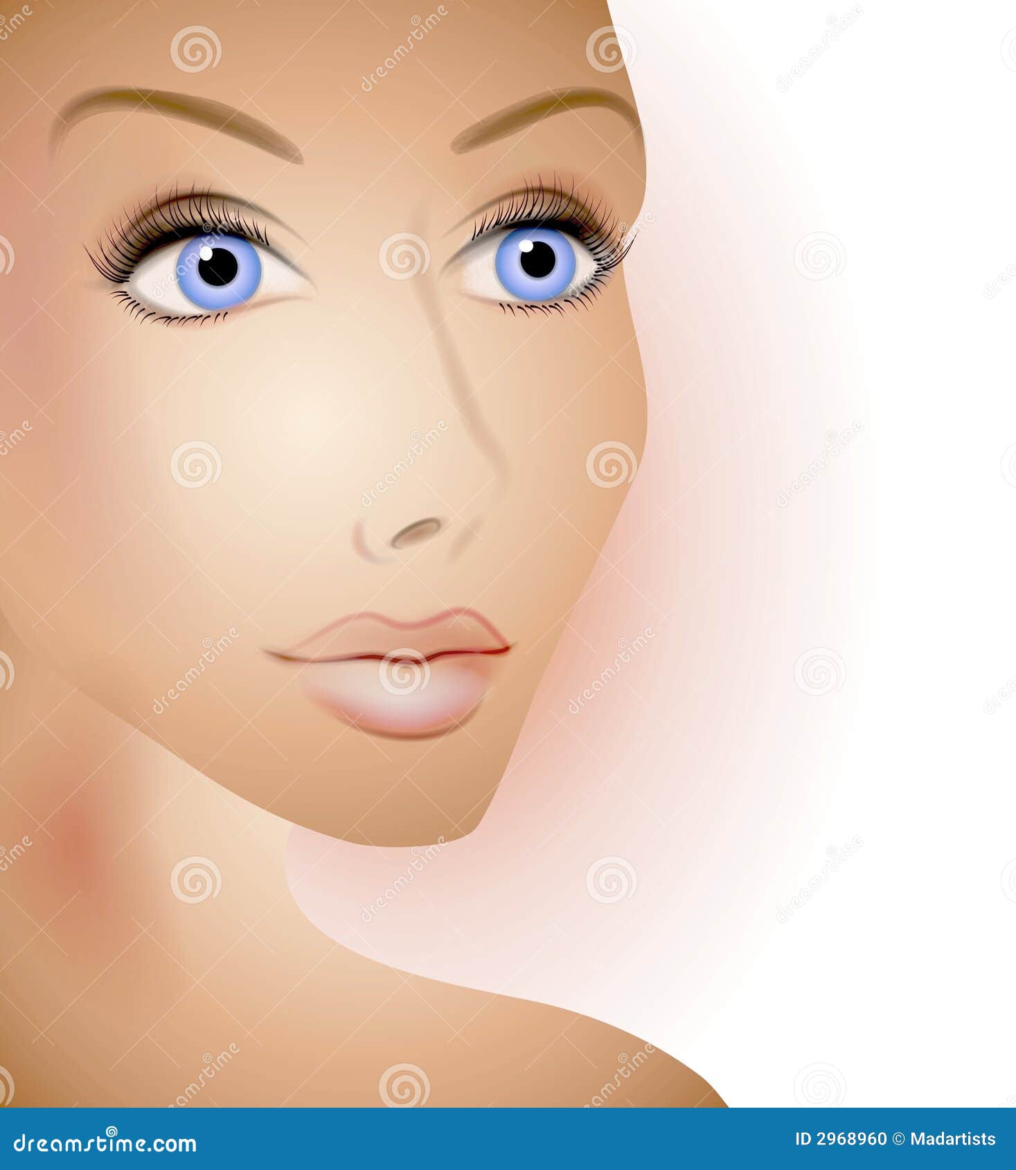 Beautiful Woman Natural Face Stock Illustration - Illustration of ...