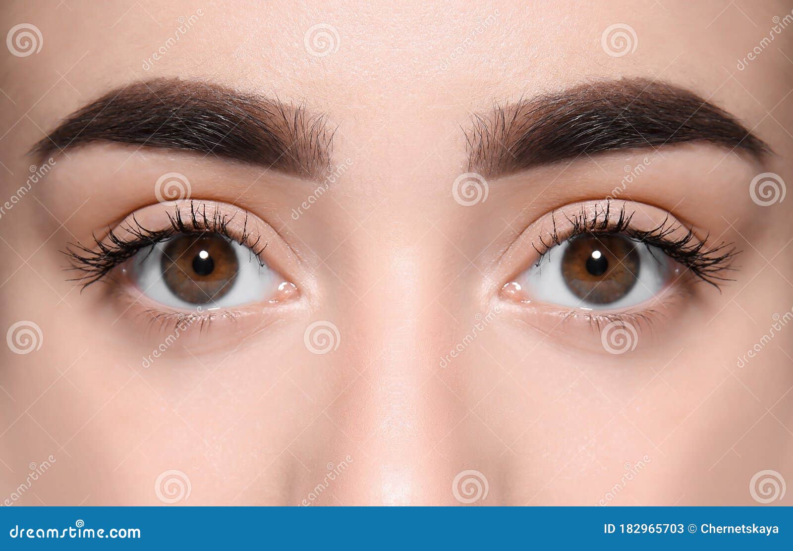 Beautiful Woman with Perfect Eyebrows, Closeup Stock Image - Image of ...