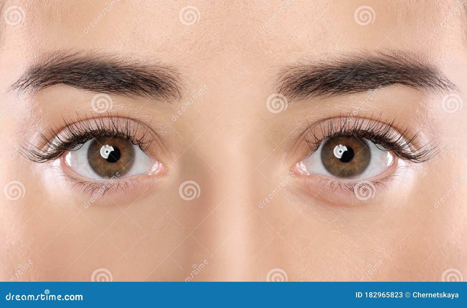 Beautiful Woman with Perfect Eyebrows, Closeup Stock Image - Image of ...