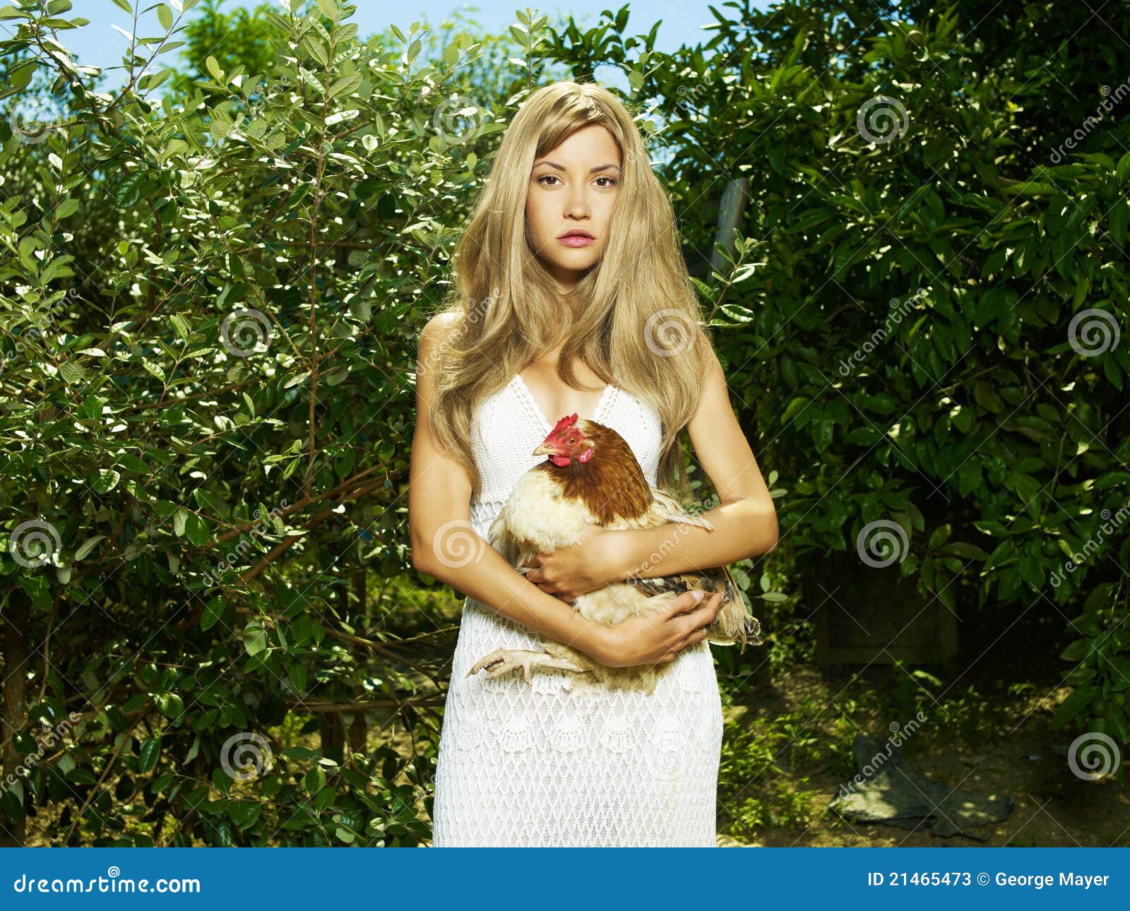 Beautiful Woman with a Pet - Chicken Stock Image - Image of hold ...