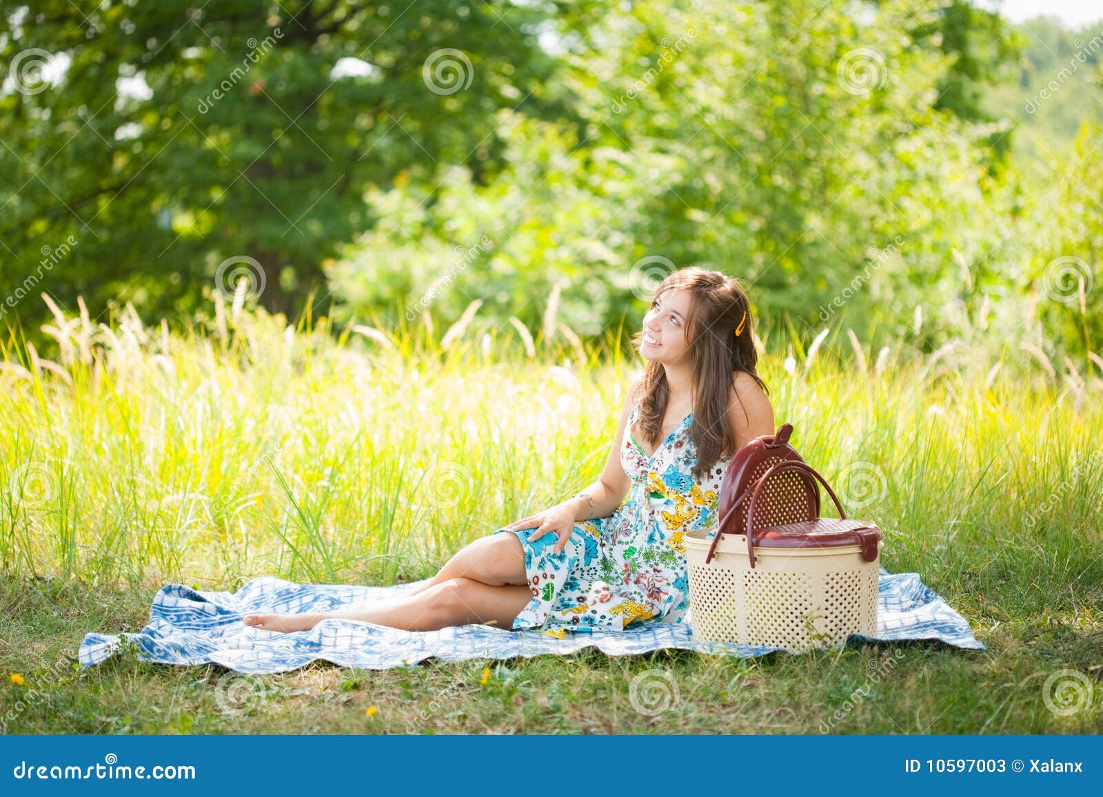 Beautiful woman at picnic stock image. Image of grass - 10597003
