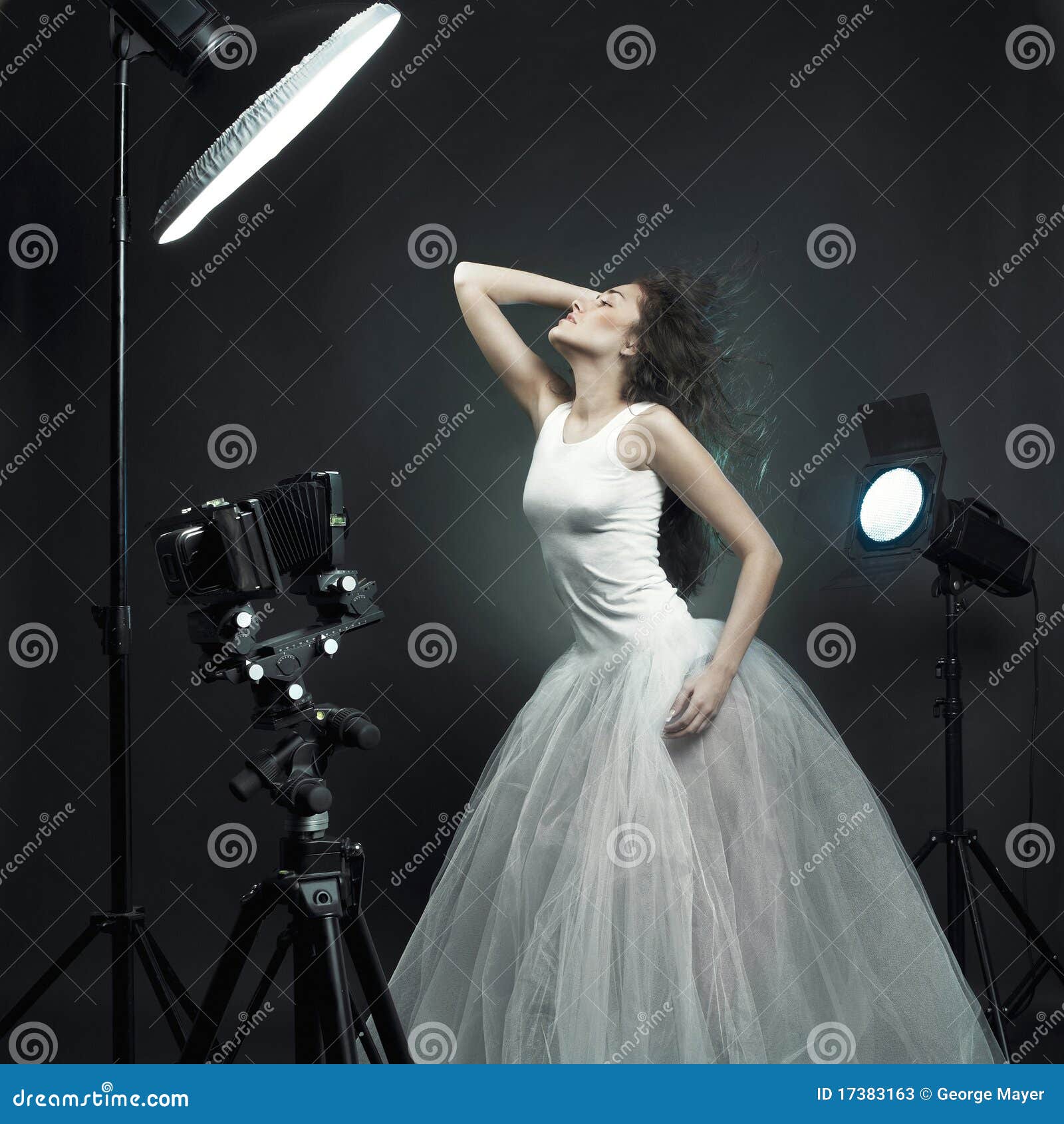 Beautiful Woman Pose in Photo-studio Stock Image - Image of female ...