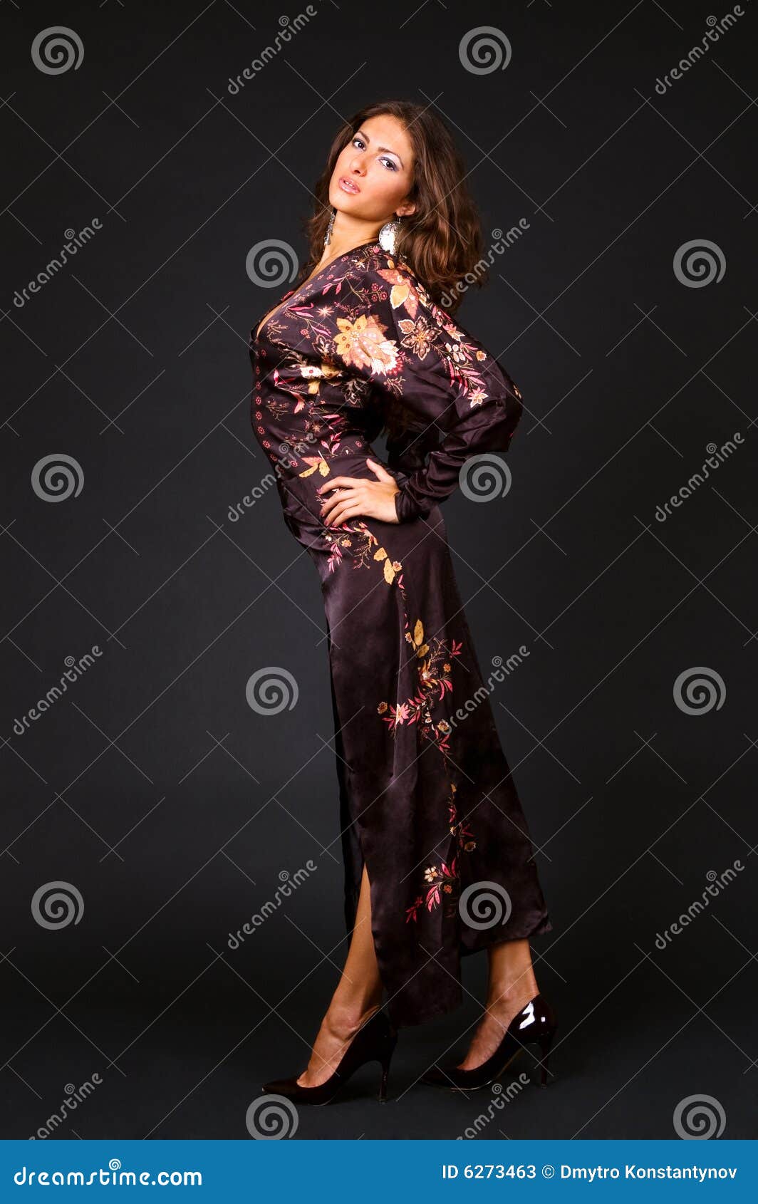 Beautiful woman posing stock image. Image of lady, fashionable - 6273463