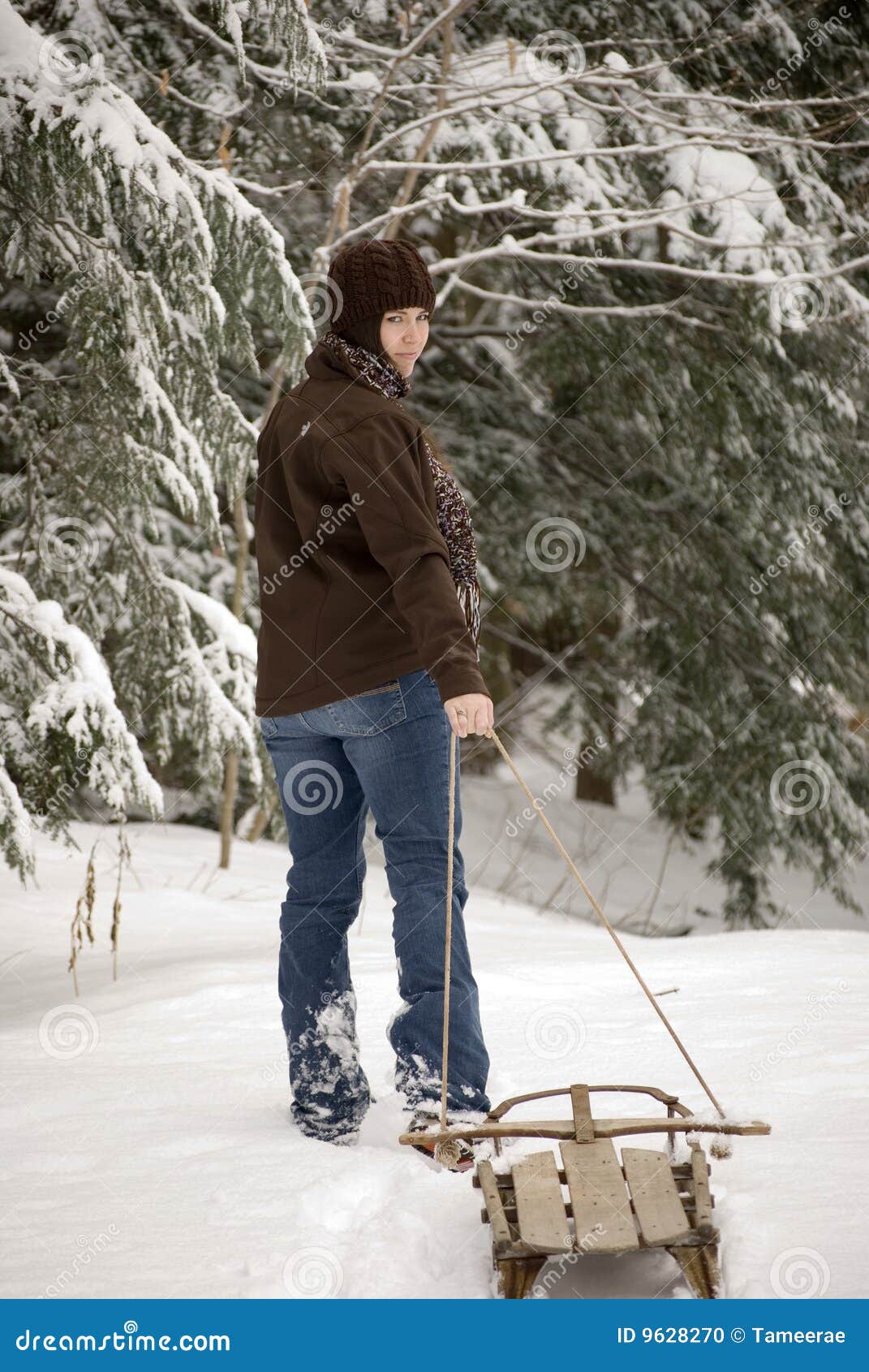 Beautiful Woman Pulling Sled through Snow Stock Photo - Image of cold ...