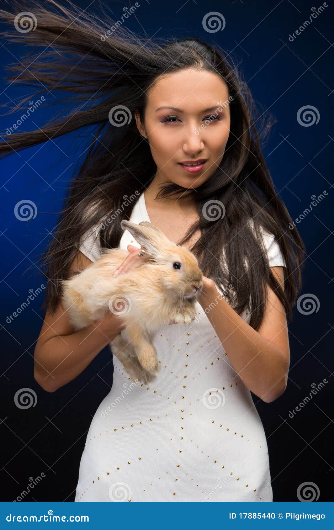 Beautiful Woman with Rabbit Stock Photo - Image of brown, asian: 17885440