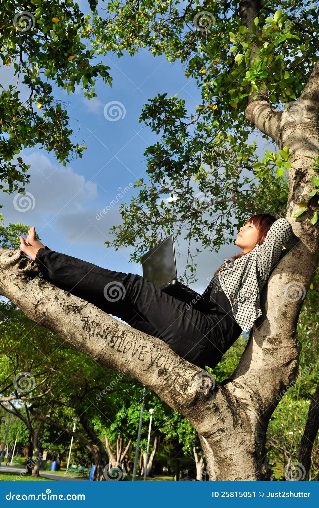 Beautiful Woman Resting on the Tree with Laptop Stock Image - Image of ...