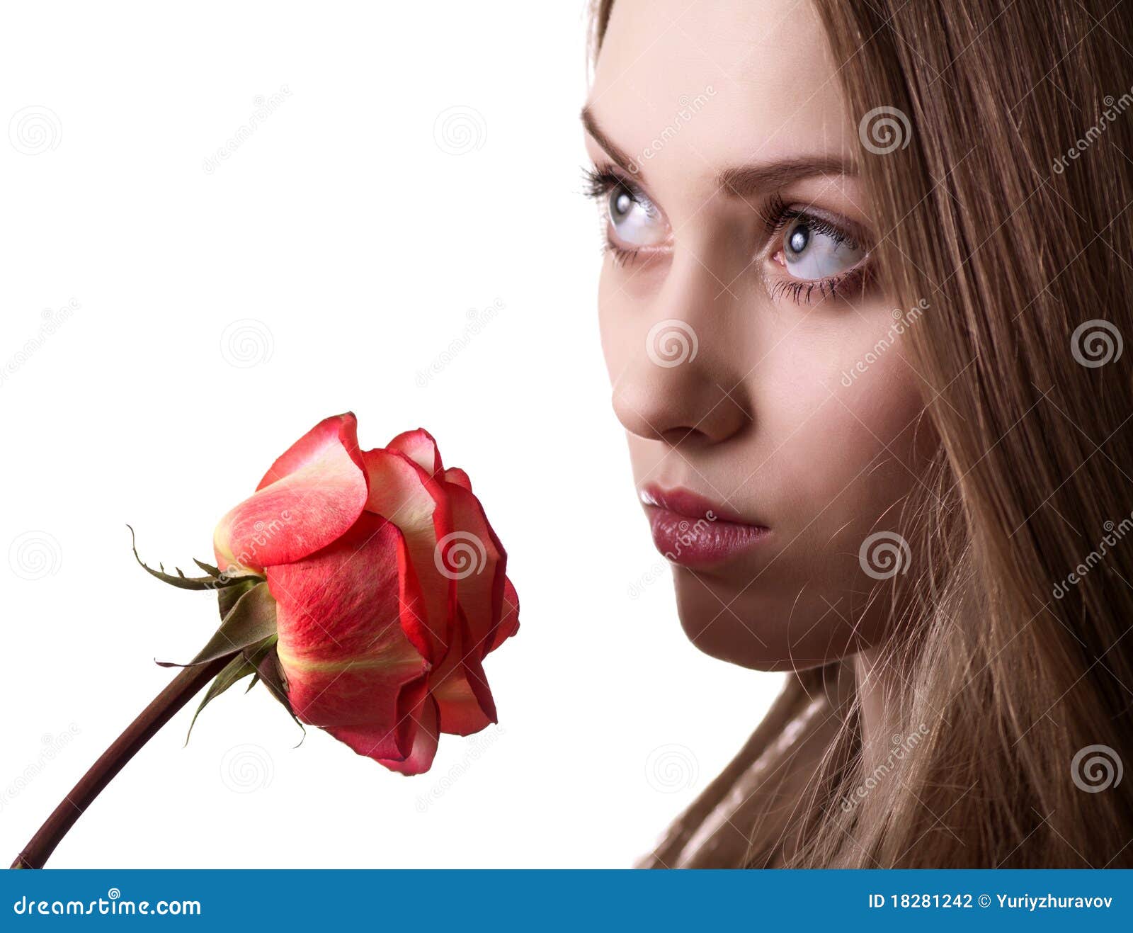 Beautiful woman with rose stock photo. Image of sensuality - 18281242