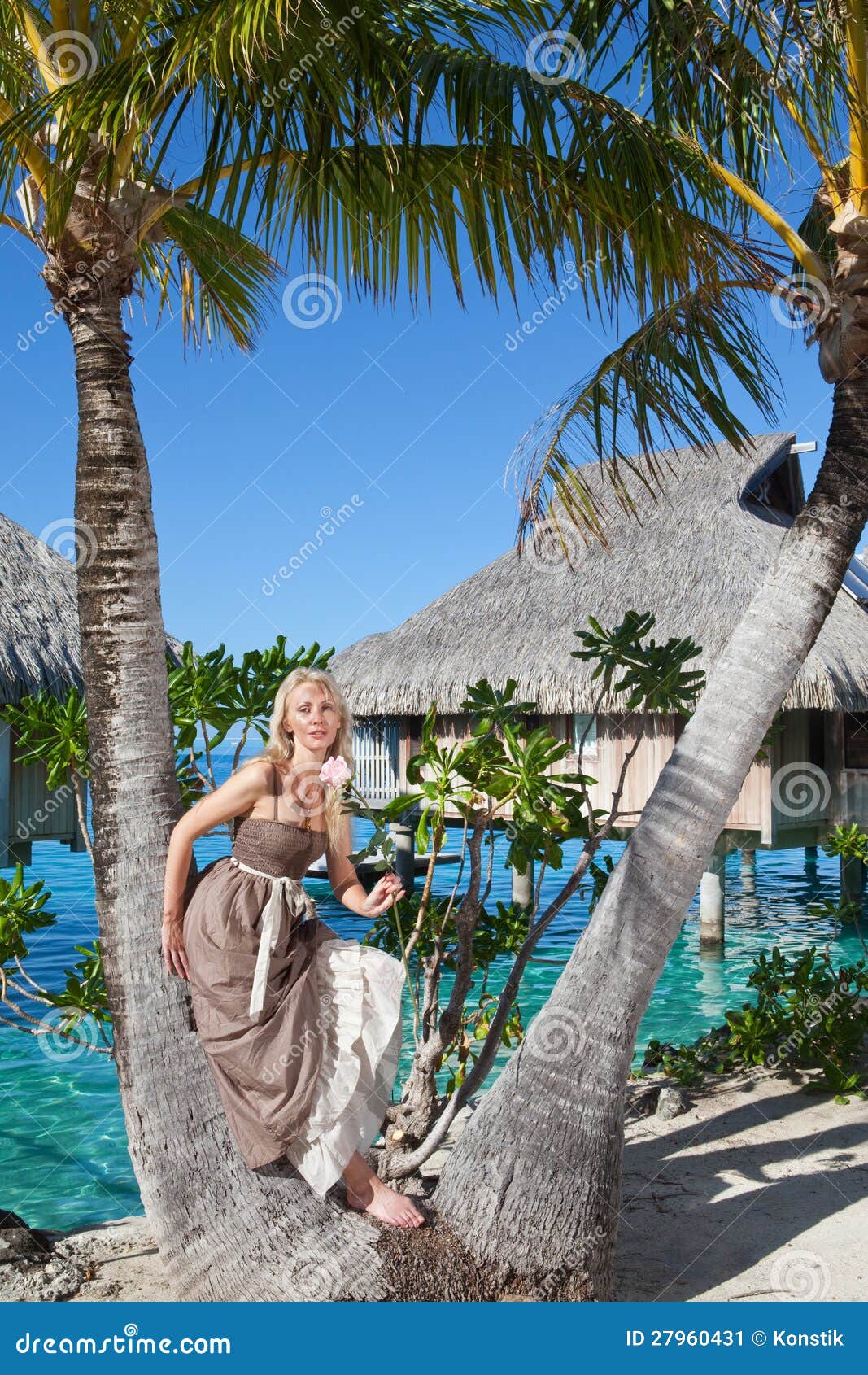 The Beautiful Woman with a Rose at a Palm Tree. Stock Image - Image of ...