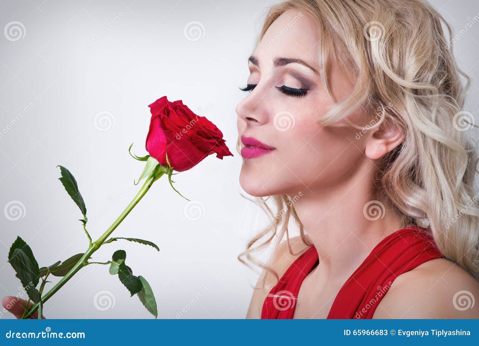 Beautiful Woman with a Rose Stock Image - Image of sexual, model: 65966683