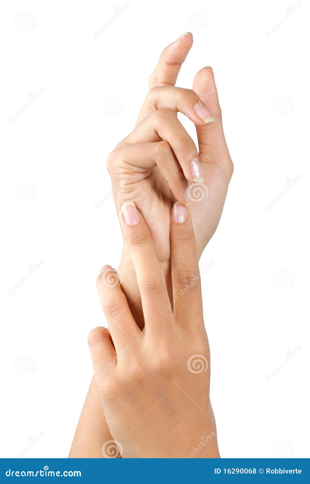 Beautiful woman s hand stock photo. Image of elegance - 16290068