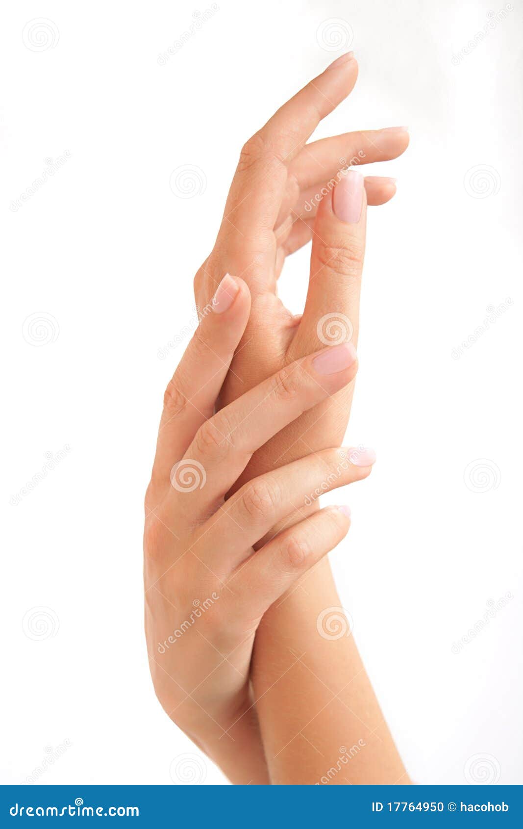 Beautiful woman s hands stock photo. Image of cream, healthy - 17764950