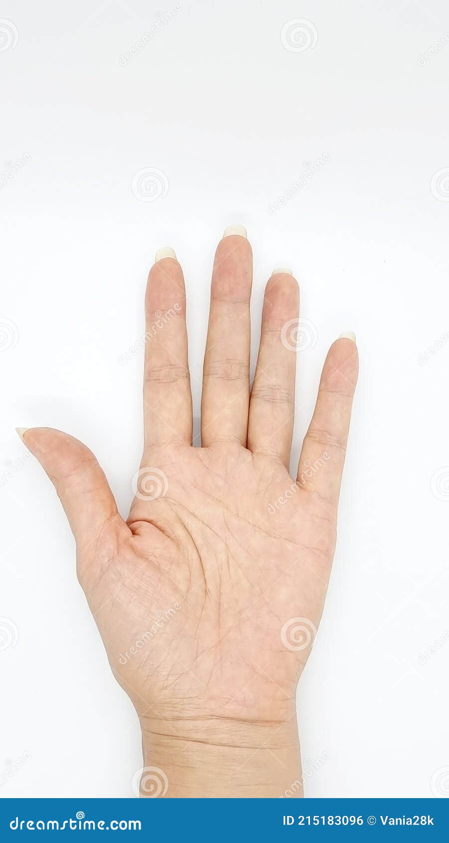 Beautiful Woman S Left Palm on White Background Stock Photo - Image of ...