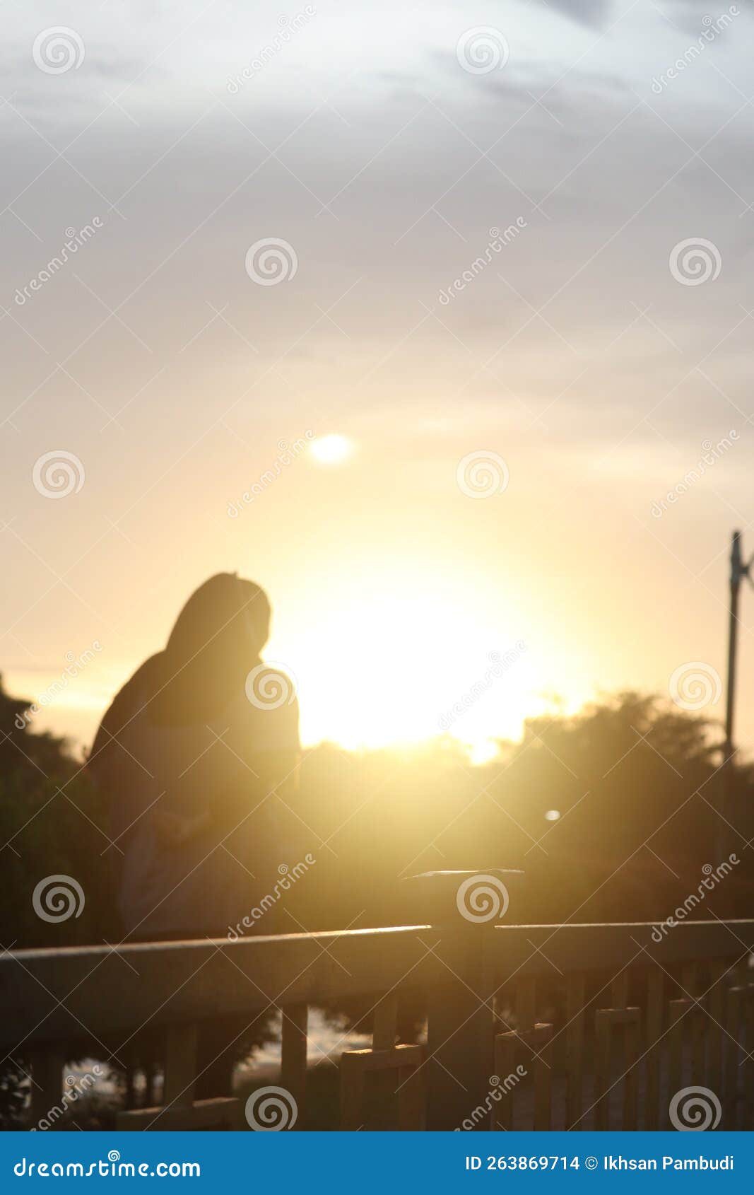 Beautiful woman silhouette editorial stock image. Image of photograph ...