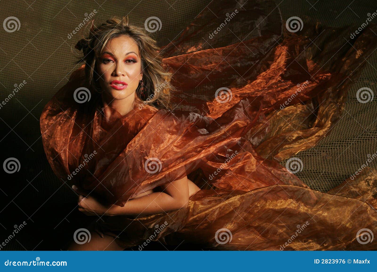 Beautiful woman in silk stock photo. Image of multi, provocative - 2823976