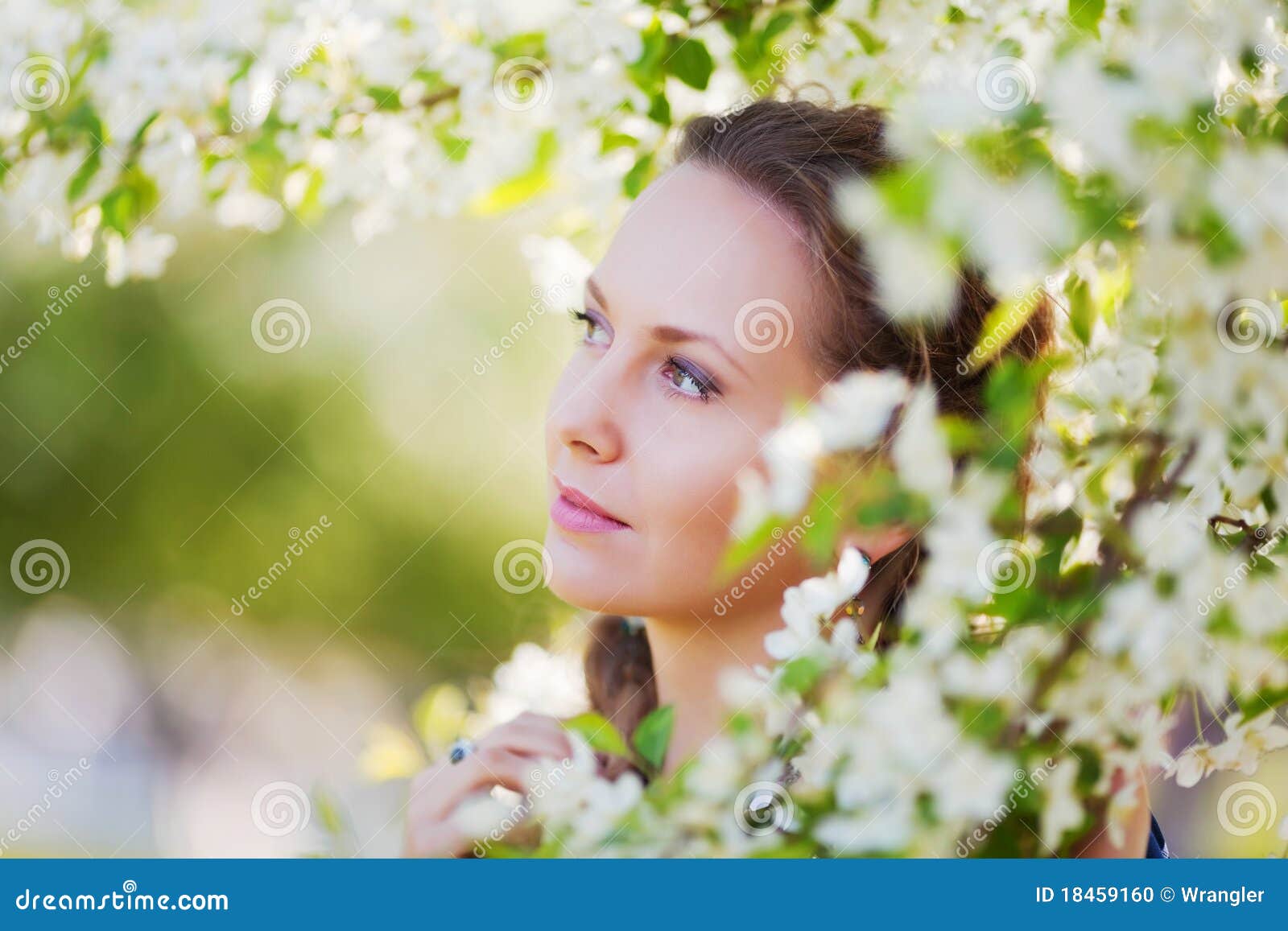 Beautiful Fashion Woman in a Spring Garden Stock Photo - Image of ...