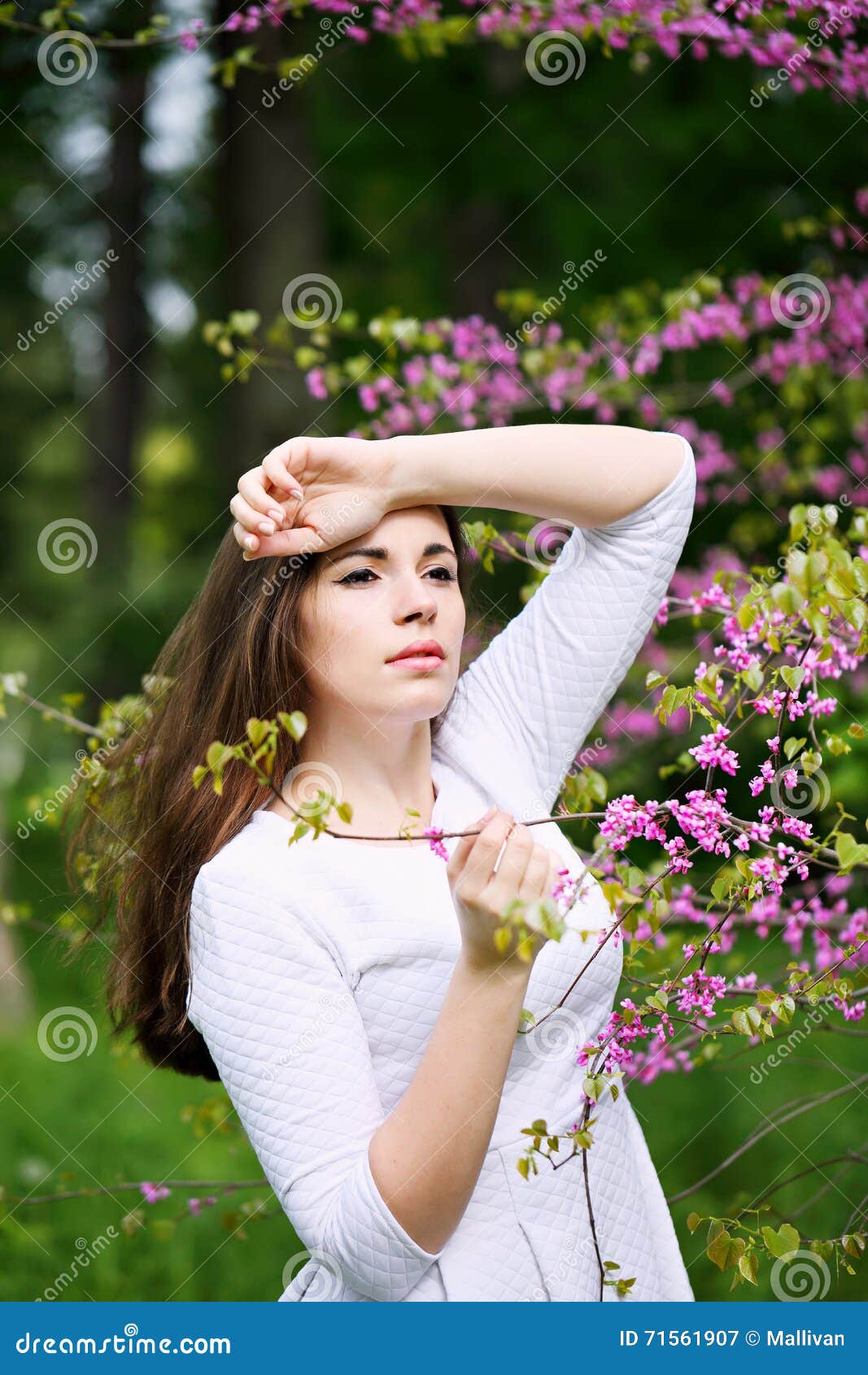 Beautiful Woman in a Spring Garden Stock Image - Image of outdoor ...