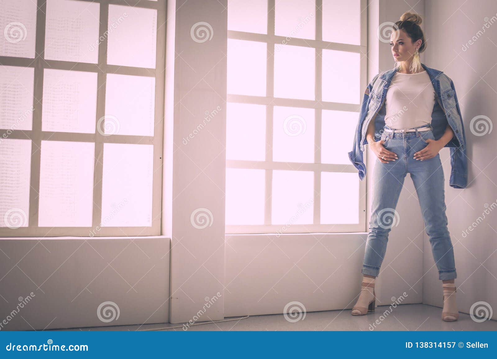 Beautiful Woman Standing in Study. Beautiful Woman. Stock Image - Image ...