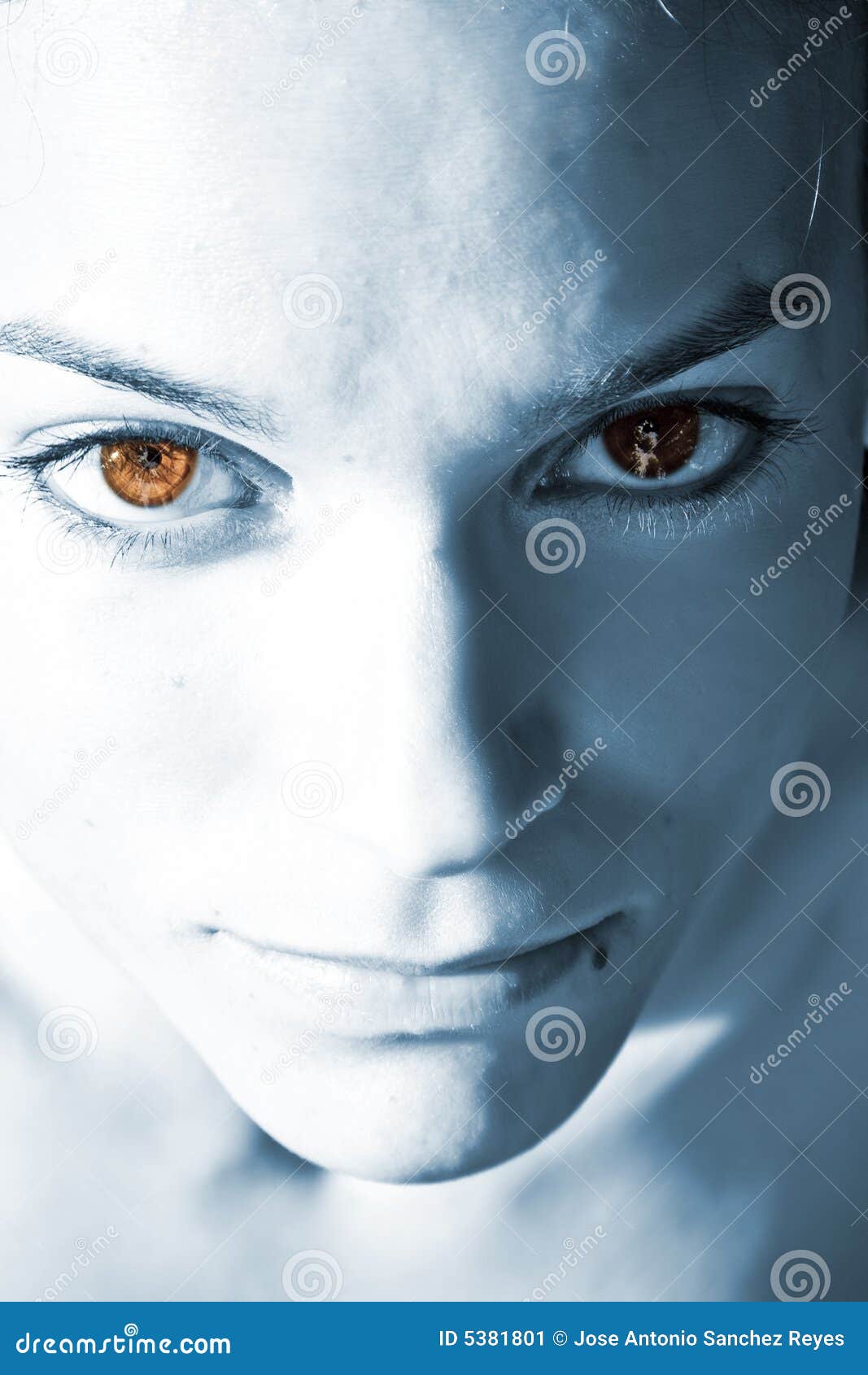 Beautiful Woman Staring at Camera Stock Image - Image of female ... Beautiful Woman Staring at Camera Stock Image - Image of female ...