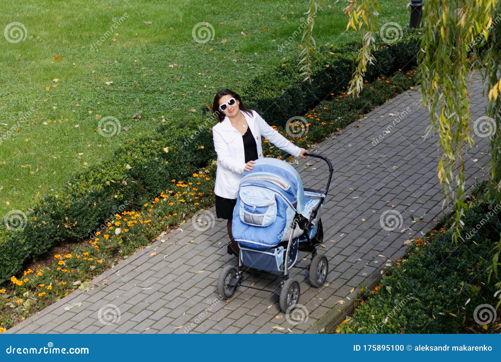 Beautiful Woman with a Stroller in a Green Park on a Walk Stock Photo ...
