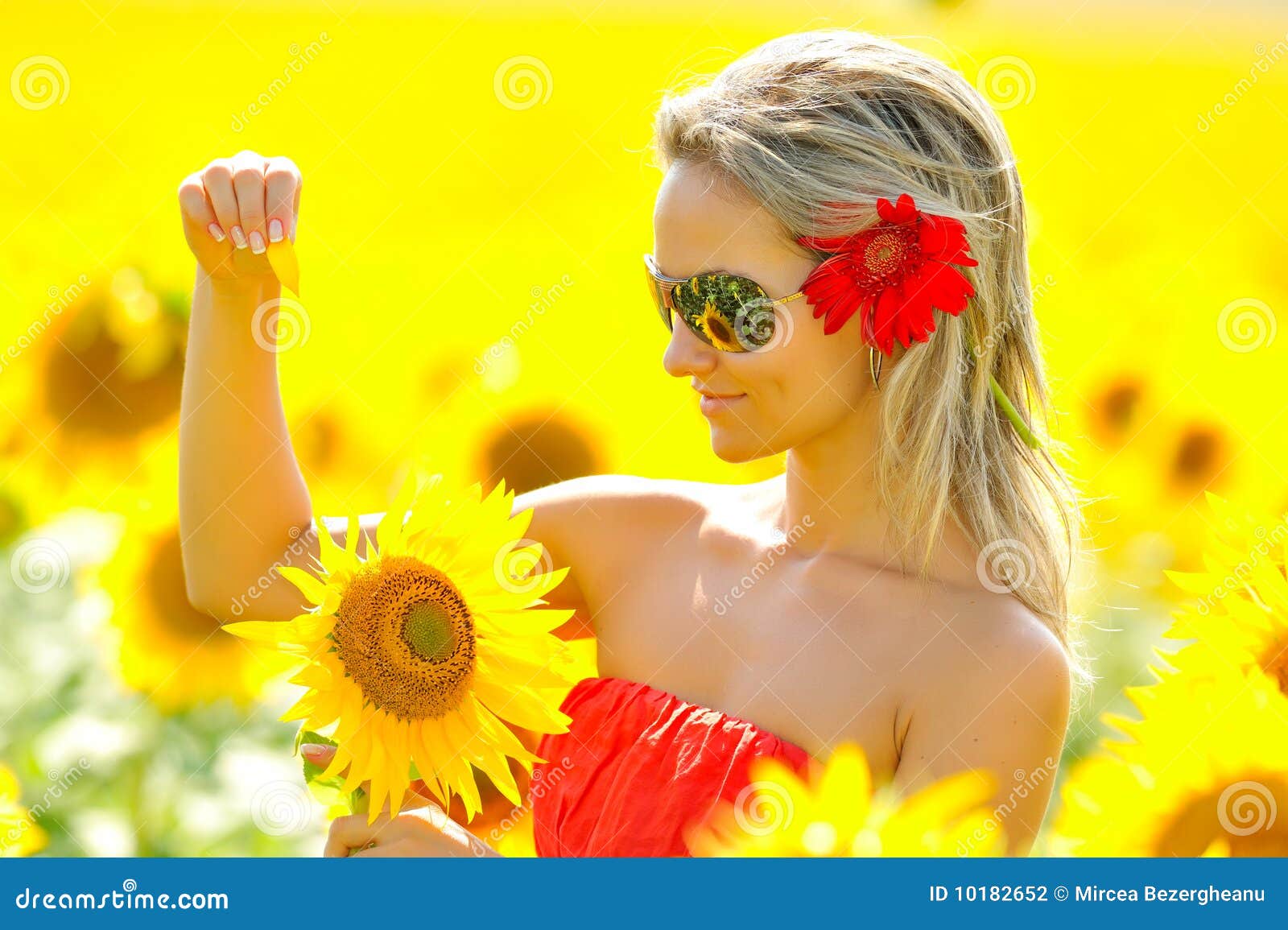 Beautiful Woman between Sunflowers Stock Photo - Image of natural, arms ...