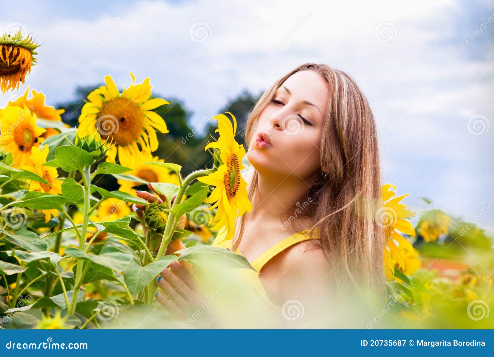 Beautiful Woman between Sunflowers Stock Image - Image of model, human ...