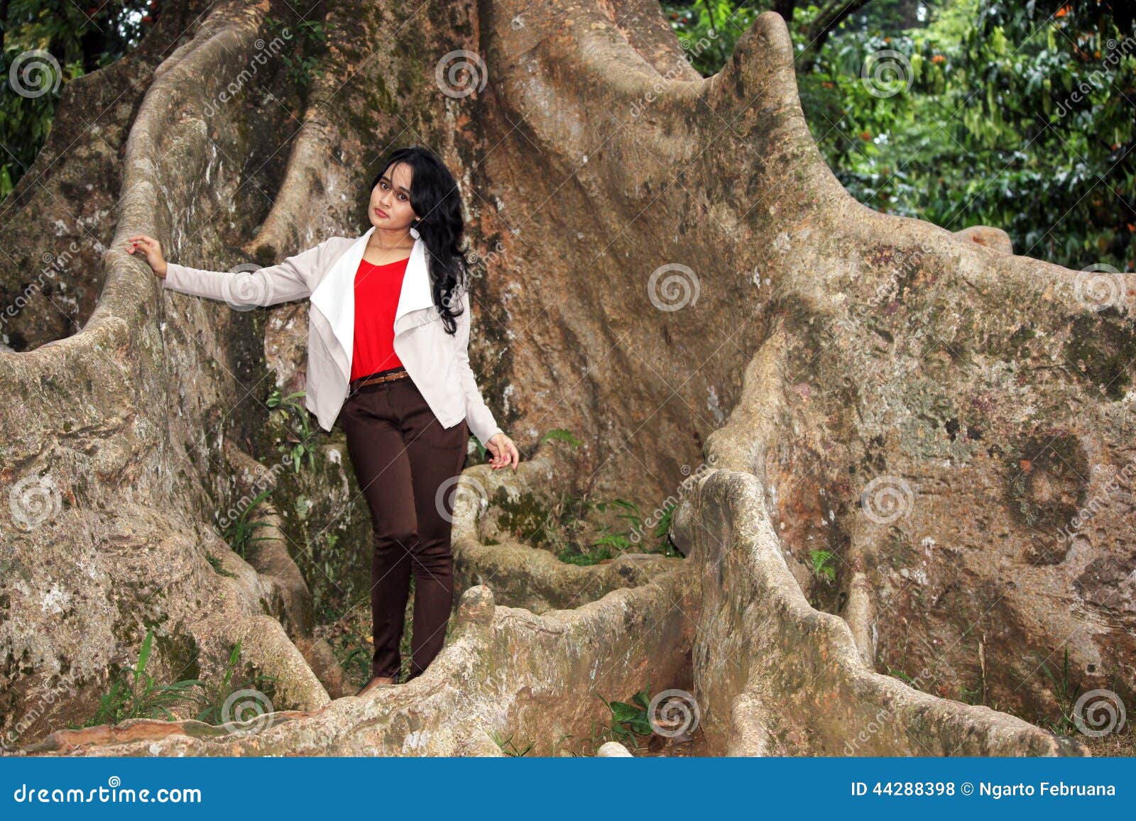 A Beautiful Woman Under Big Tree Stock Photo - Image of beauty ...