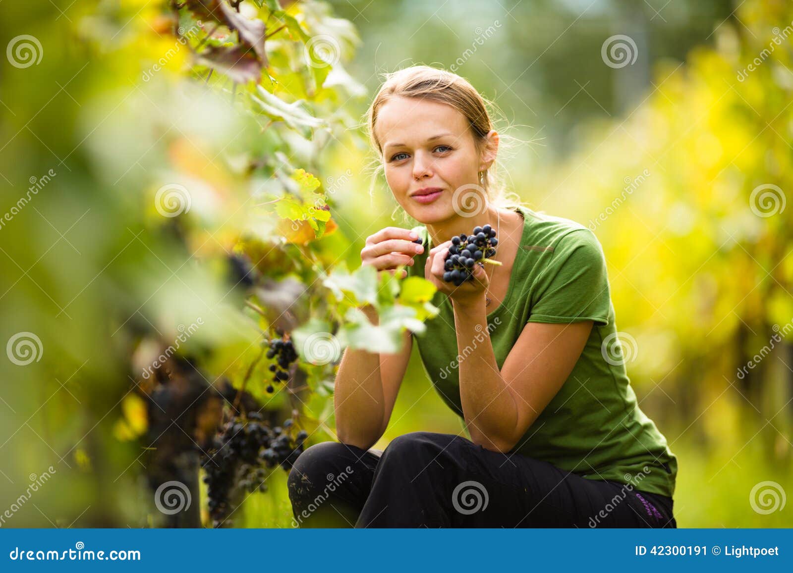 Beautiful Woman in Vineyard Stock Image - Image of fruit, multiethnic ...