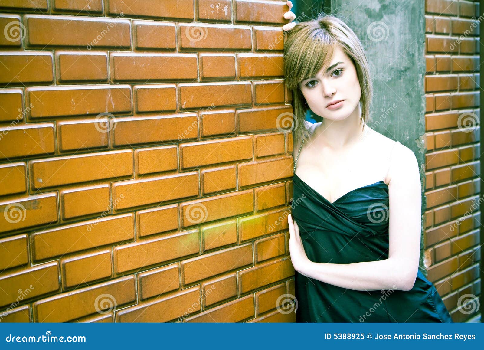 Beautiful woman on wall stock image. Image of blond, fashion - 5388925