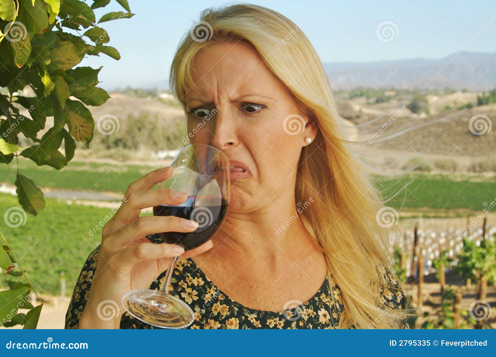 Beautiful Woman Wine Tasting Stock Image - Image of enjoyment ...