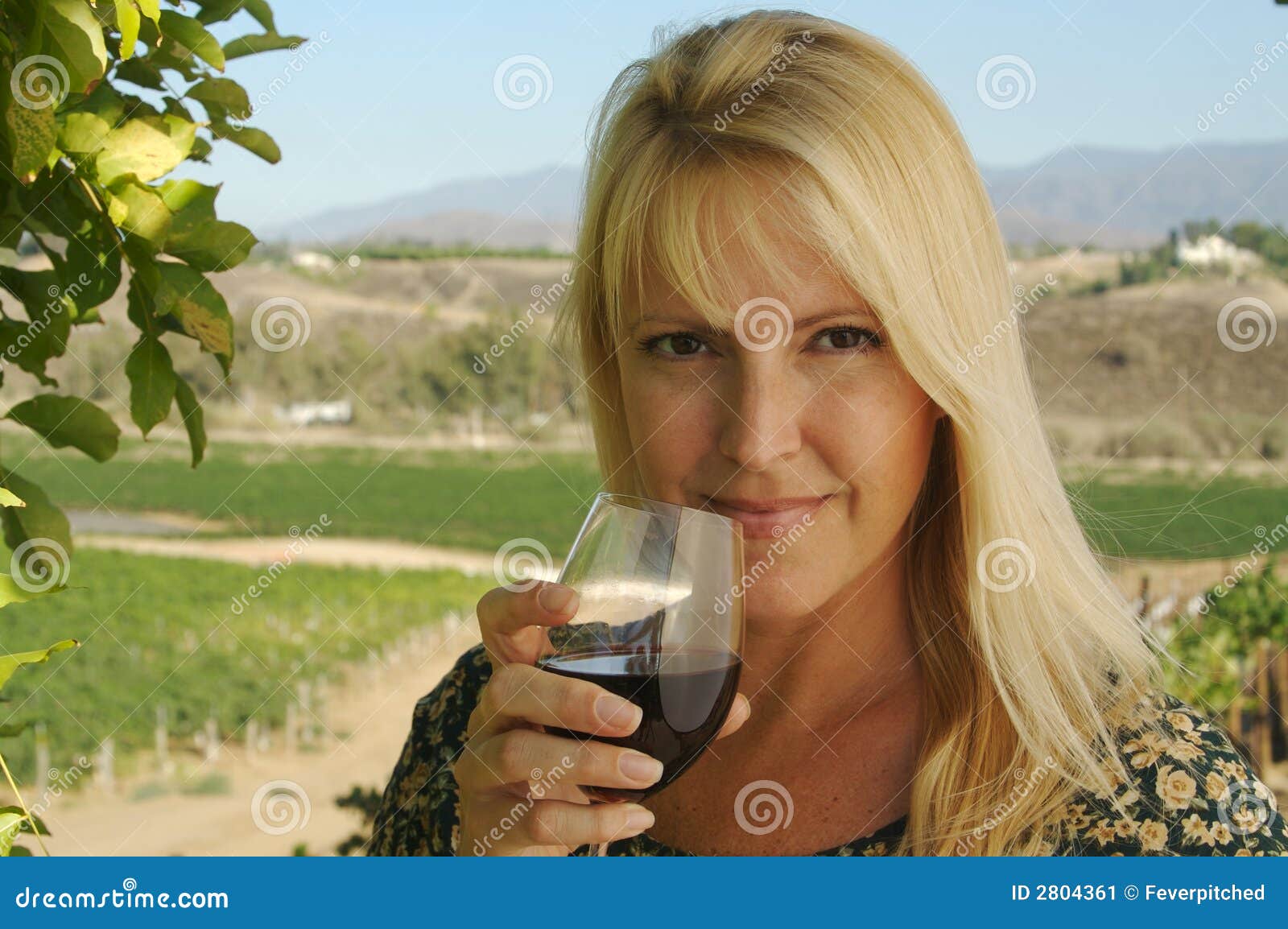 Beautiful Woman Wine Tasting Stock Image - Image of wine, weekend: 2804361