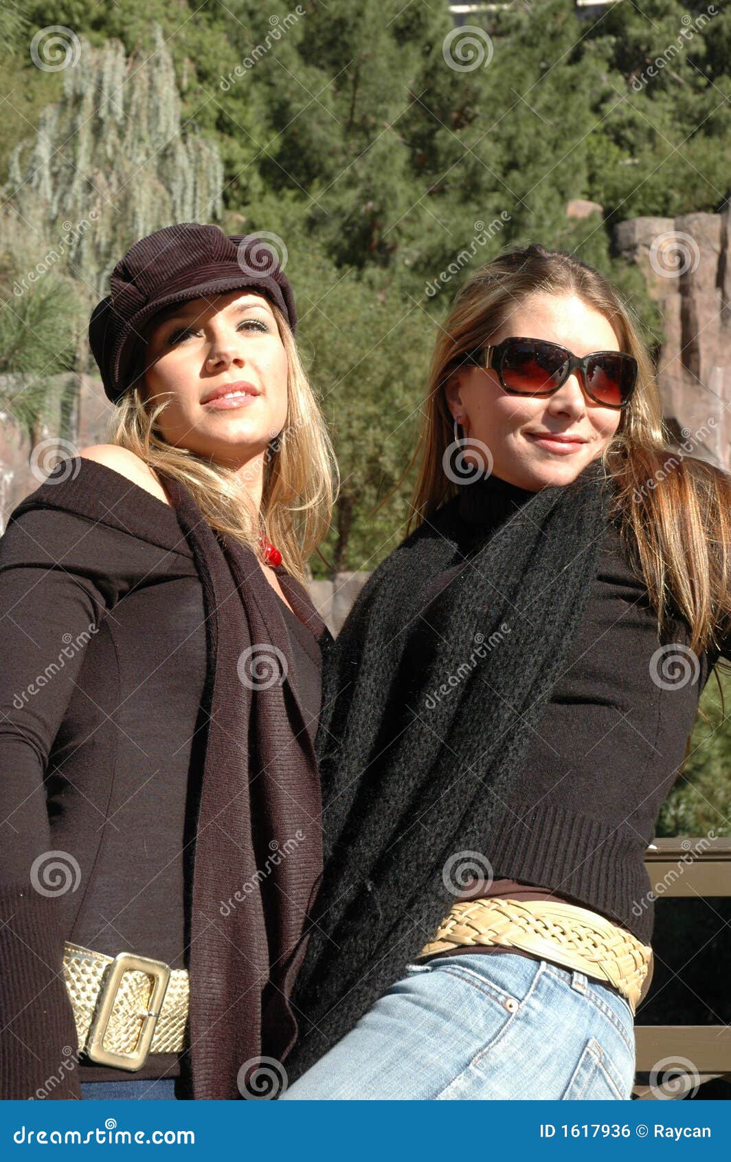 Beautiful Women stock photo. Image of friends, female - 1617936