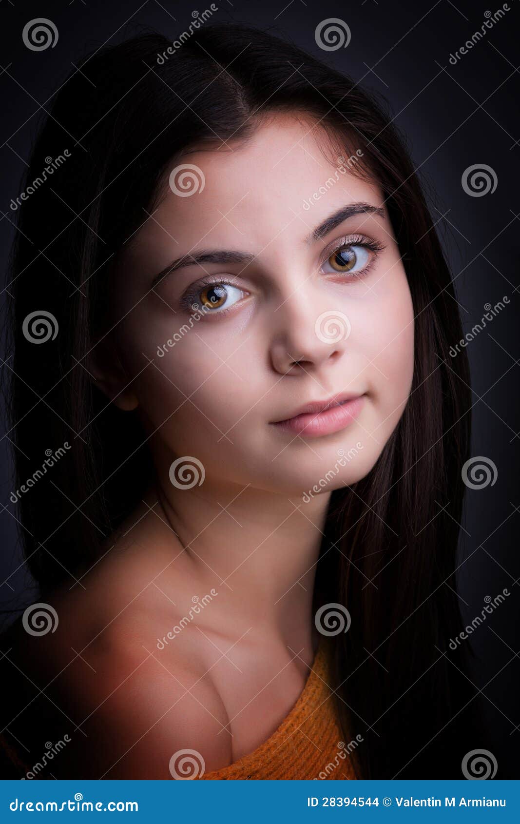 Beautiful women portrait stock photo. Image of portrait - 28394544