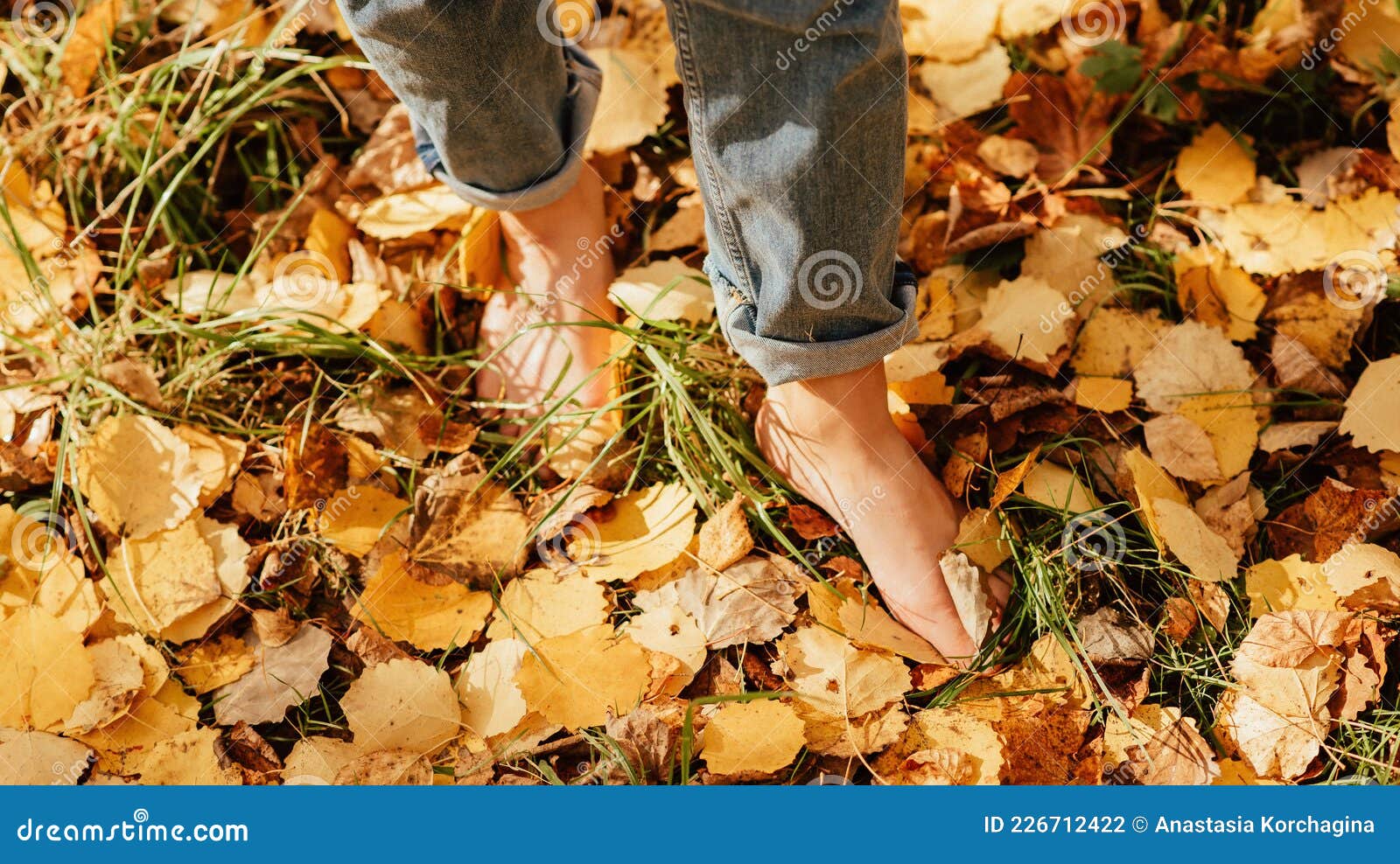 Beautiful Women S Feet Barefoot on Autumn Yellow Leaves Stock Photo ... Beautiful Women S Feet Barefoot on Autumn Yellow Leaves Stock Photo ...