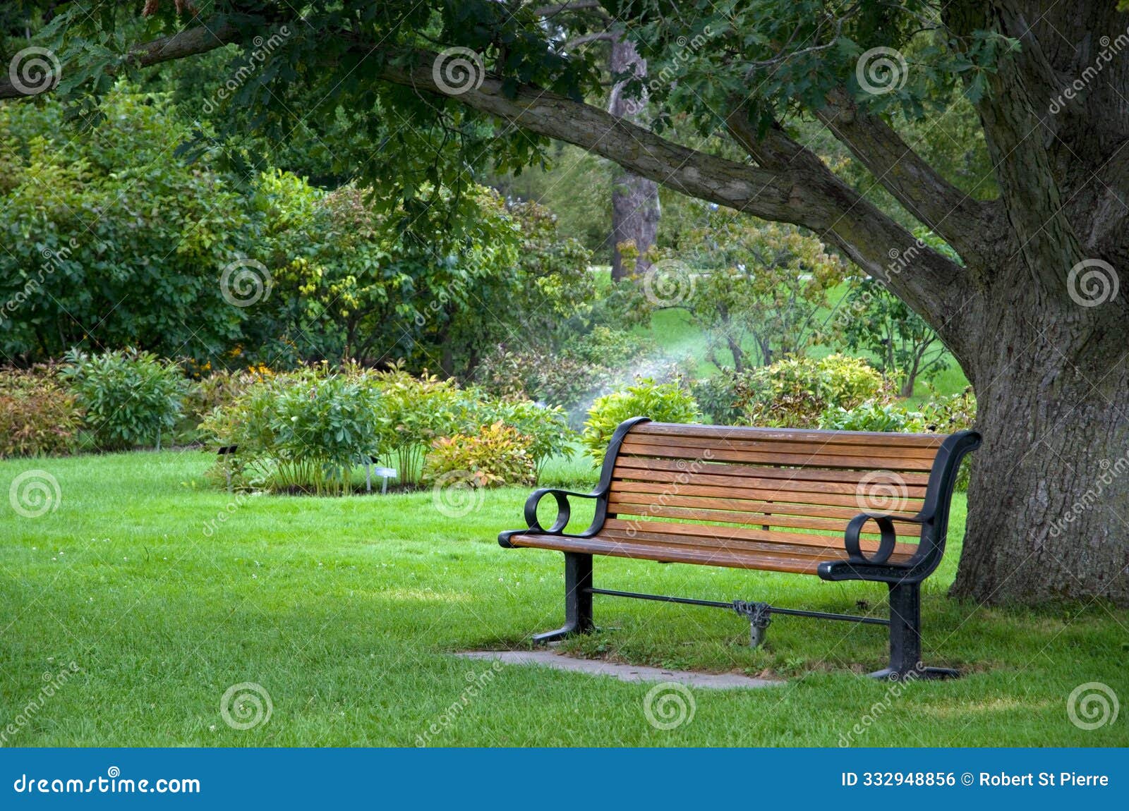 Beautiful Wood Bench Under a Tree in Flower Garden Stock Photo - Image ...