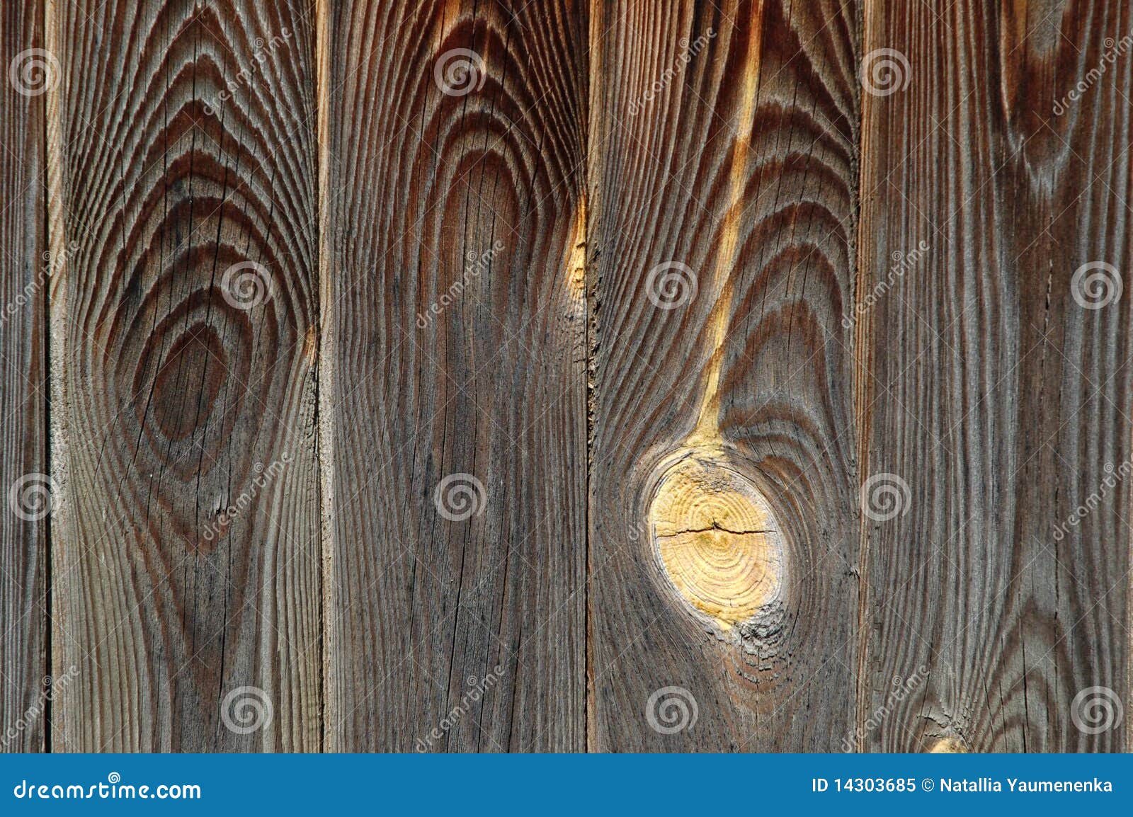 Beautiful wood texture stock image. Image of macro, beautiful - 14303685