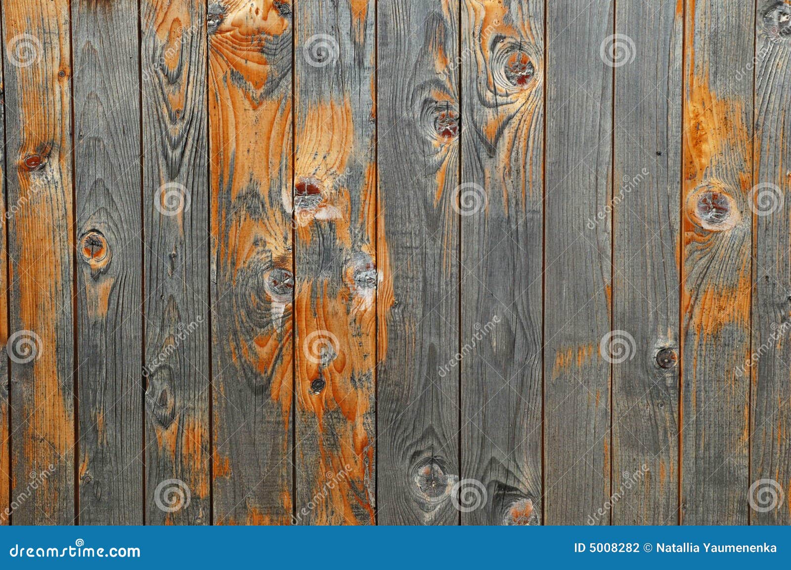 Beautiful Wood Texture Picture. Image: 5008282