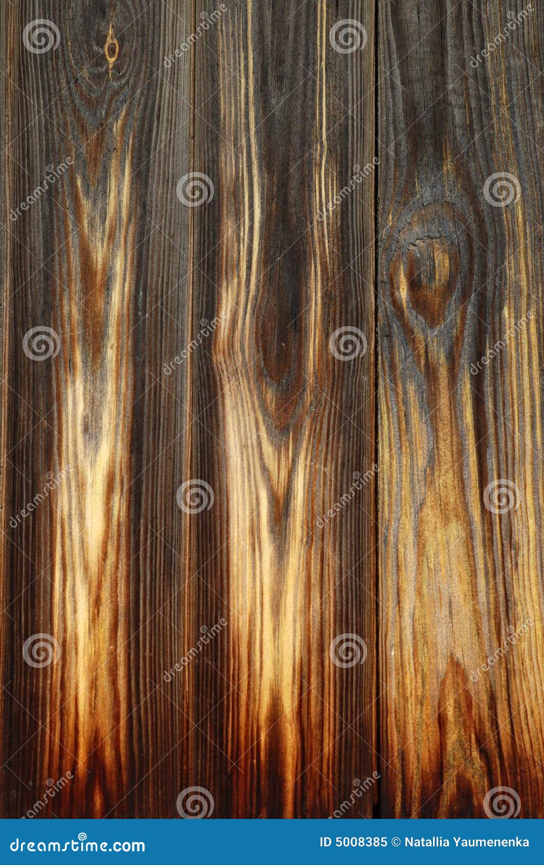 Beautiful wood texture stock image. Image of background - 5008385